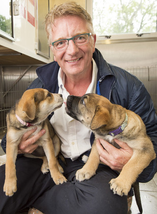 Jeremy Cooper New Chief Exec Rspca Editorial Stock Photo - Stock Image ...