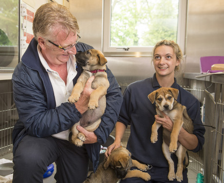 Jeremy Cooper New Chief Exec Rspca Editorial Stock Photo - Stock Image ...