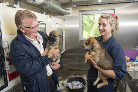 Jeremy Cooper New Chief Exec Rspca Editorial Stock Photo - Stock Image ...