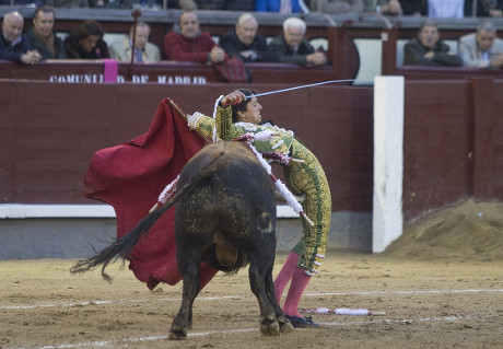 Bullfighter Roca Rey Editorial Stock Photo - Stock Image | Shutterstock
