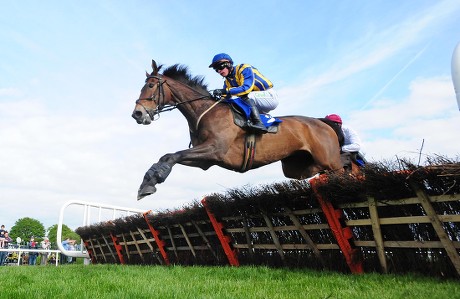 Killarney Consharon Boy David Splaine Win Editorial Stock Photo - Stock ...