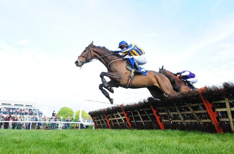 Killarney Consharon Boy David Splaine Beats Editorial Stock Photo ...