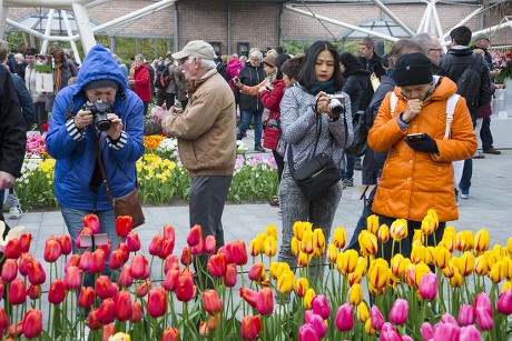 Visitors Taking Closeup Photographs Mass Display Editorial Stock Photo ...