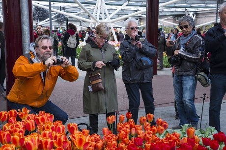 Visitors Taking Closeup Photographs Mass Display Editorial Stock Photo ...