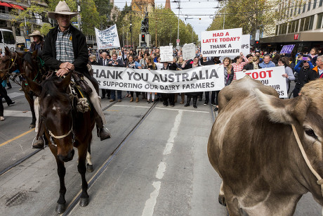 __COUNT__ Dairy farmers protest, Melbourne, Australia - 25 May 2016 ...