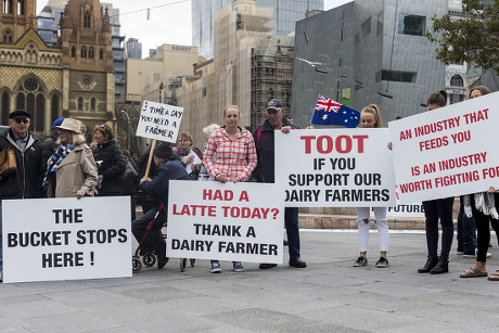 __COUNT__ Dairy farmers protest, Melbourne, Australia - 25 May 2016 ...