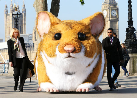 12ft Pedalpowered Mechanical Model Hamster Unveiled Editorial Stock ...