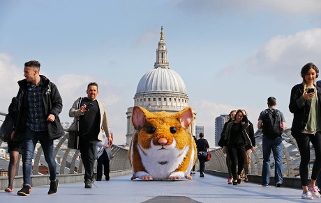 12ft Pedalpowered Mechanical Model Hamster Unveiled Editorial Stock ...