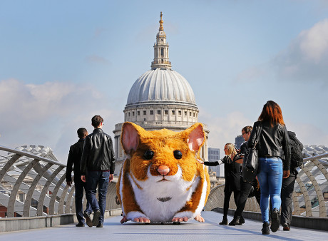 12ft Pedalpowered Mechanical Model Hamster Unveiled Editorial Stock ...
