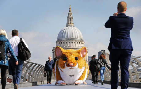 12ft Pedalpowered Mechanical Model Hamster Unveiled Editorial Stock ...