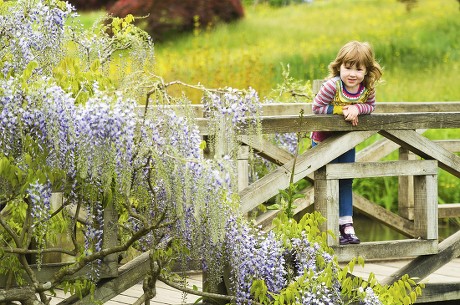 Iris Cook 3 Posing Picture By Editorial Stock Photo - Stock Image ...