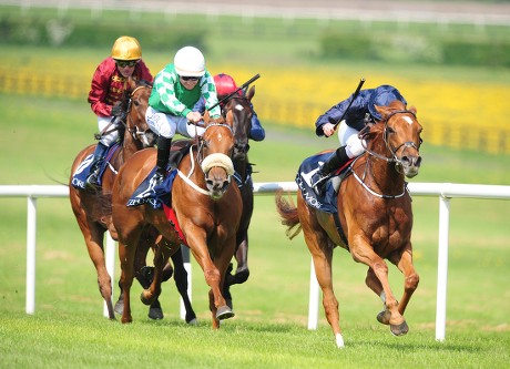 Naas Red Aggressor Jockey Neil Corkery Editorial Stock Photo - Stock ...