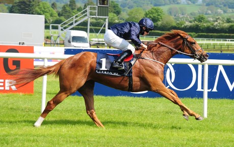 Naas Red Aggressor Jockey Neil Corkery Editorial Stock Photo - Stock ...