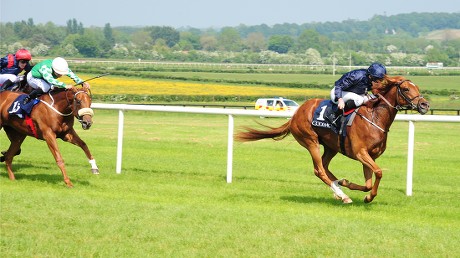 Naas Red Aggressor Jockey Neil Corkery Editorial Stock Photo - Stock ...