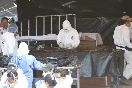 Coroners Seen During Exhumation Bodies Found Editorial Stock Photo ...