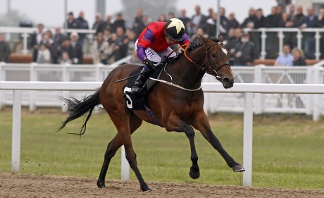 Horse Racing - 1 Jun 2016 Stock Pictures, Editorial Images and Stock ...