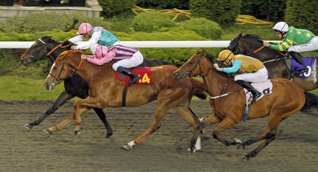 __COUNT__ Horse Racing - 2 Jun 2016 Stock Pictures, Editorial Images ...