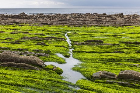 Flysch Different Layers Rock Cantabrian Coast Editorial Stock Photo ...
