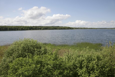 Krakower See Lake Near Climatic Spa Editorial Stock Photo - Stock Image ...