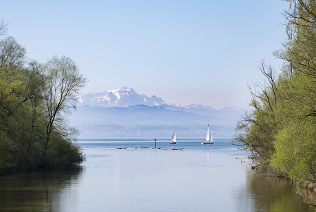 Mouth River Argen Lake Constance Between Editorial Stock Photo - Stock ...