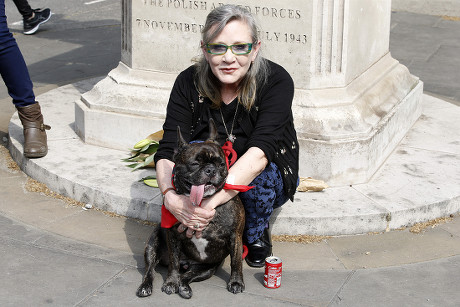 Carrie Fisher Her Dog Gary Editorial Stock Photo - Stock Image ...
