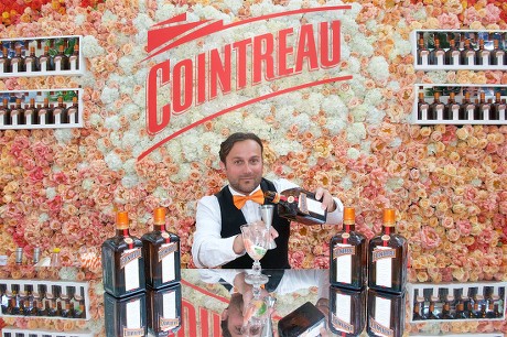 Cointreau Fizz Cocktail Bar Editorial Stock Photo - Stock Image ...