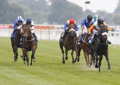 Adam Mcnamaras First Winner York Racecourse Editorial Stock Photo ...