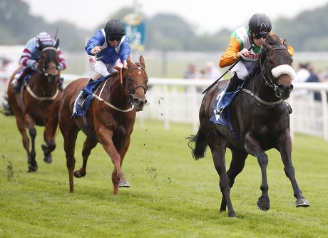 Adam Mcnamaras First Winner York Racecourse Editorial Stock Photo ...