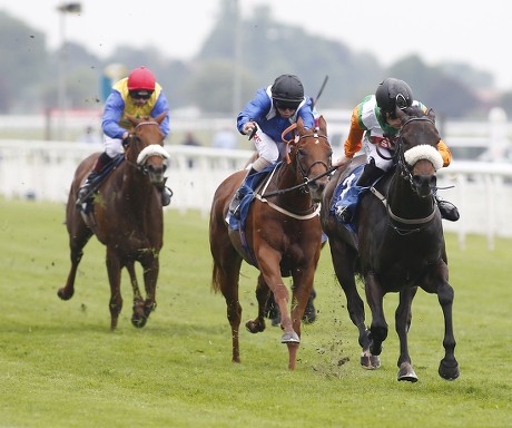 Adam Mcnamaras First Winner York Racecourse Editorial Stock Photo ...