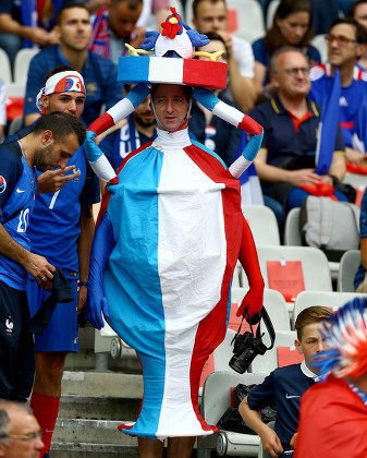 France Fan Painted Face During Uefa Editorial Stock Photo - Stock Image ...
