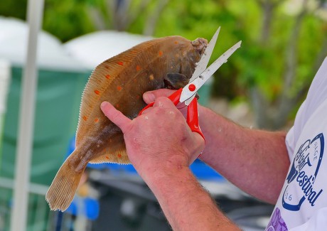Preparing Fresh Fish Editorial Stock Photo - Stock Image | Shutterstock