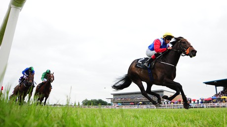 Gowran Park Coolfighter David Splaine Jump Editorial Stock Photo ...