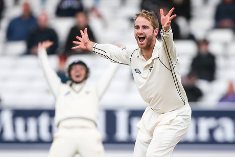 Kane Williamson Editorial Stock Photo - Stock Image | Shutterstock