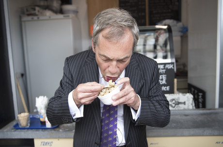 Ukip Party Leader Nigel Farage Enjoys Editorial Stock Photo - Stock ...