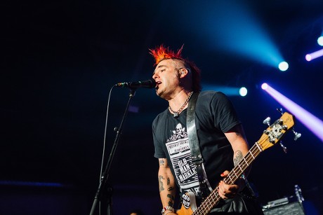 Nofx Fat Mike Editorial Stock Photo - Stock Image | Shutterstock