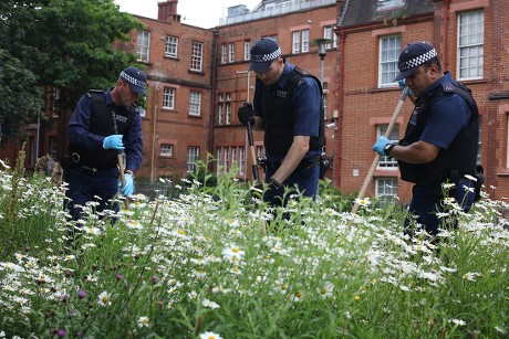 55 Operation sceptre Stock Pictures, Editorial Images and Stock Photos ...