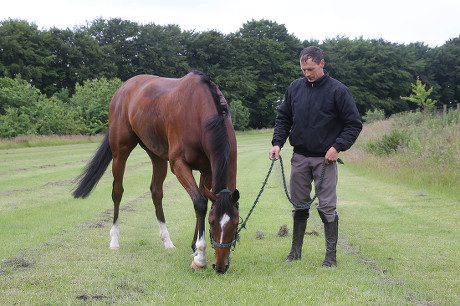 Trainer Iain Jardine Rides Out His Editorial Stock Photo - Stock Image ...
