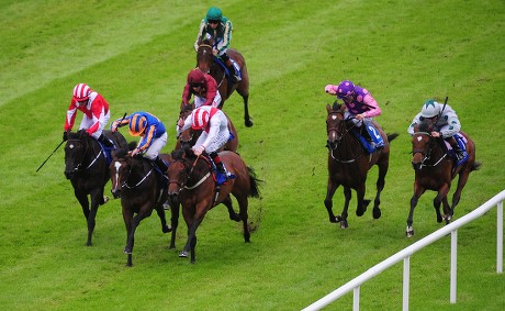 Curragh Roly Poly Ryan Moore Blue Editorial Stock Photo - Stock Image ...