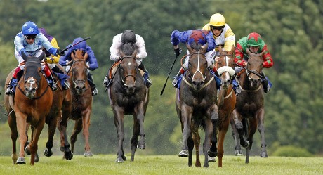 __COUNT__ Horse Racing - 2 Jul 2016 Stock Pictures, Editorial Images ...