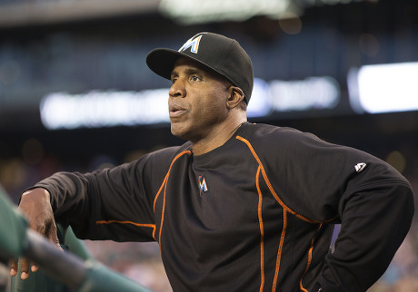 Miami Marlins Hitting Coach Barry Bonds Editorial Stock Photo - Stock ...