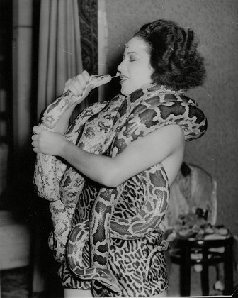 Koringa One Her Pythons Koringa Only Editorial Stock Photo - Stock ...