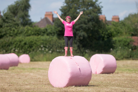 Farmer creates field of giant pink 'marshmallow' hay bales to raise ...