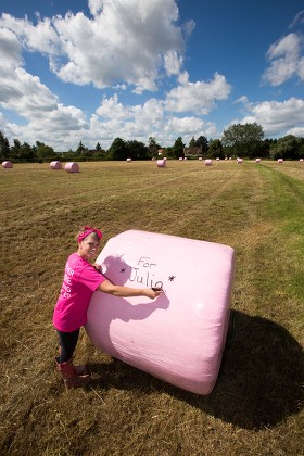 250 Giant hay Stock Pictures, Editorial Images and Stock Photos ...