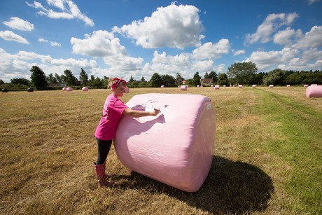 250 Giant hay Stock Pictures, Editorial Images and Stock Photos ...