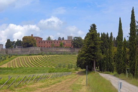 Ricasoli Vineyard Chianti Castello Di Brolio Editorial Stock Photo ...