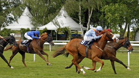 Swift Approval Frederik Tylicki Beats Suzis Editorial Stock Photo ...