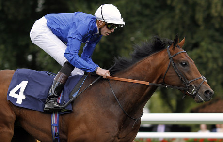 imágenes de Horse Racing - 8 Jul 2016 - Imágenes de stock, imágenes ...