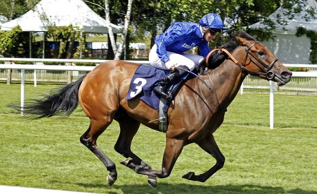 Horse Racing - 8 Jul 2016 Stock Pictures, Editorial Images and Stock ...