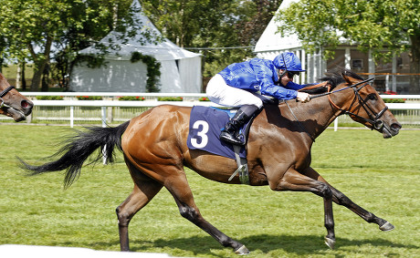 Horse Racing - 8 Jul 2016 Stock Pictures, Editorial Images and Stock ...