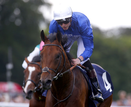 Horse Racing - 8 Jul 2016 Stock Pictures, Editorial Images and Stock ...